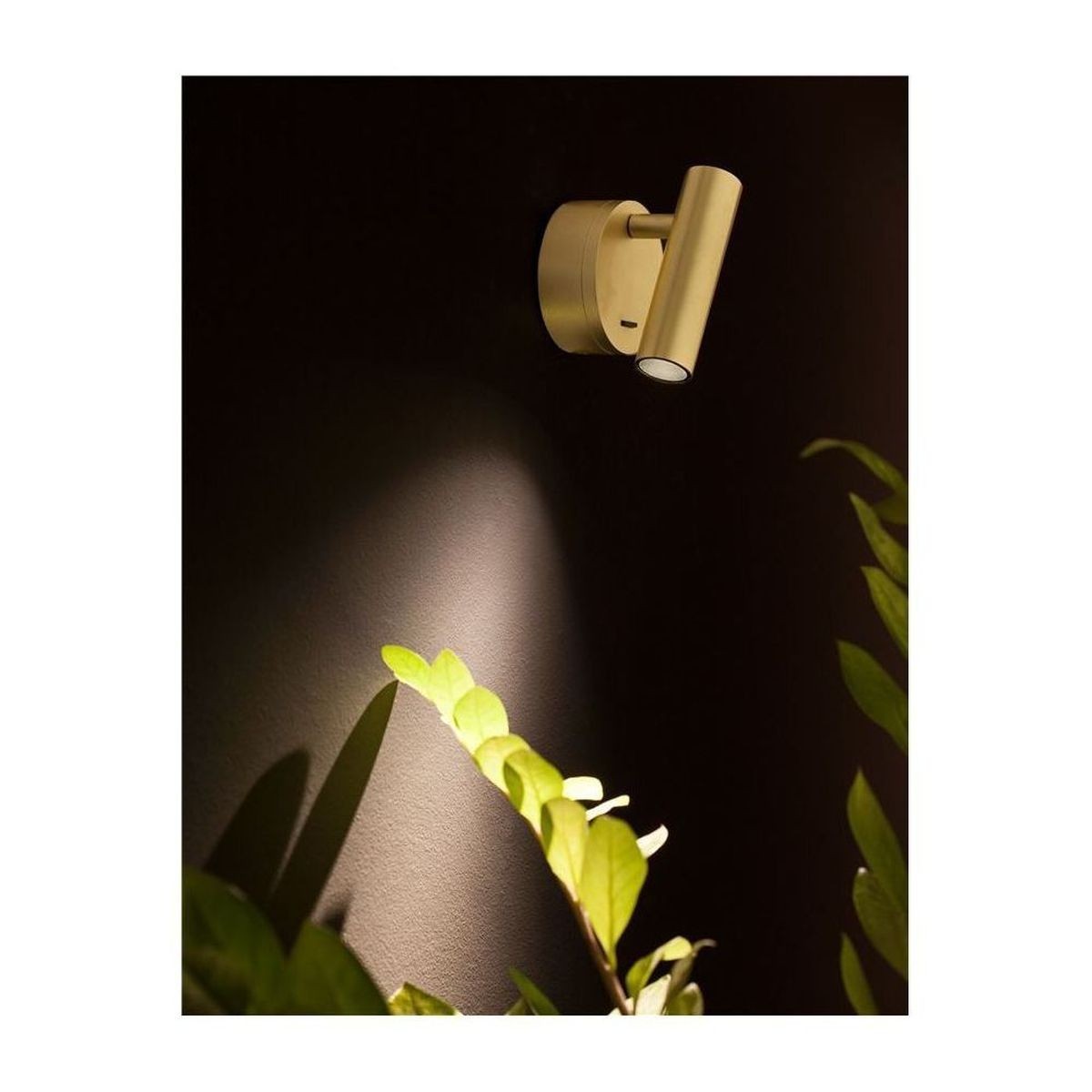 Applique CLIP Laiton Satiné LED 3 W Nova Luce 9030203